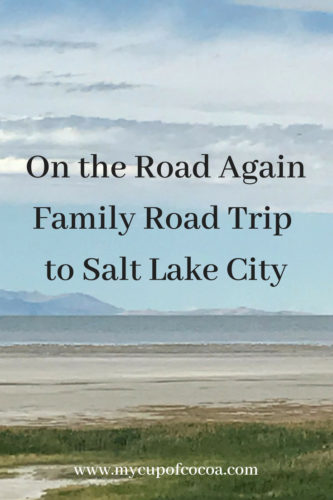Stop Touching Me! Family Road Trip to Salt Lake City • My Cup of Cocoa
